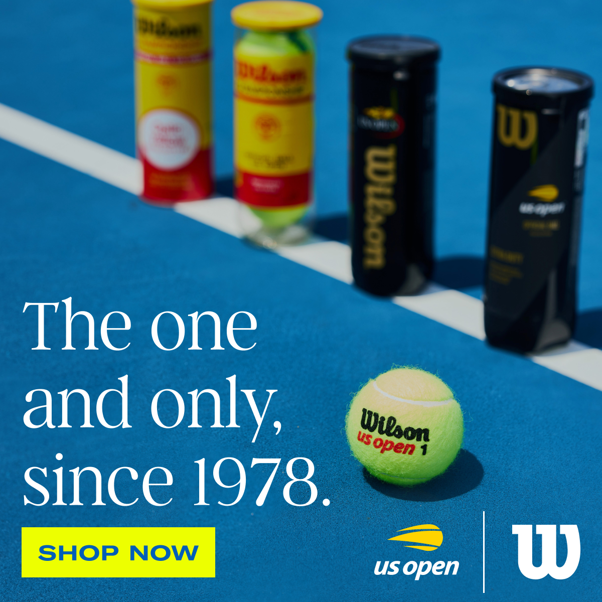 Wilson US Open Tennis Balls